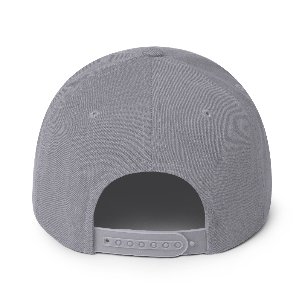 Just One More Coin...Snapback Hat – Numismaster